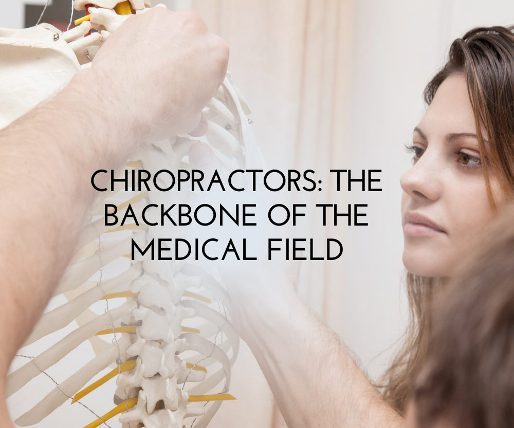 Chiropractors: The Backbone of the Medical Field | Kittatinny ...